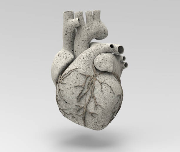 A Stony Heart – lynnbusby.com